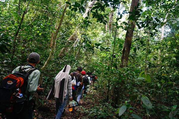 Nam Cat Tien National Park, The Magical Eco System - Cruise Halong Bay
